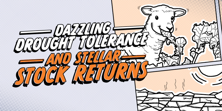 PALLATON RAPHNO | PGG Wrightson Seeds