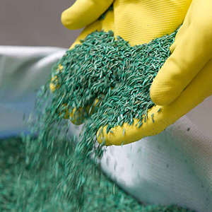 Seed treatment | PGG Wrightson Seeds