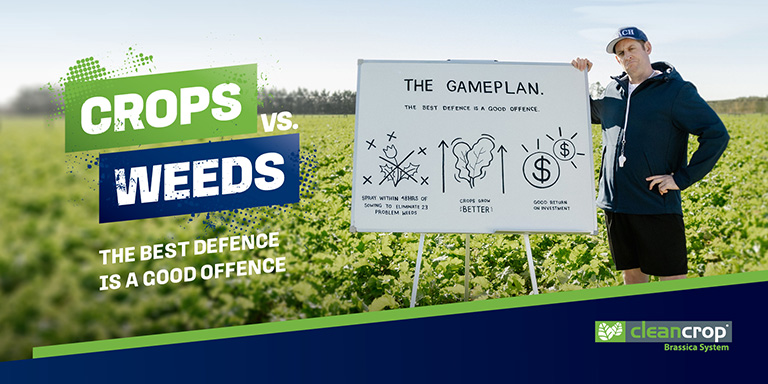 Cleancrop™ | PGG Wrightson Seeds | PGG Wrightson Seeds